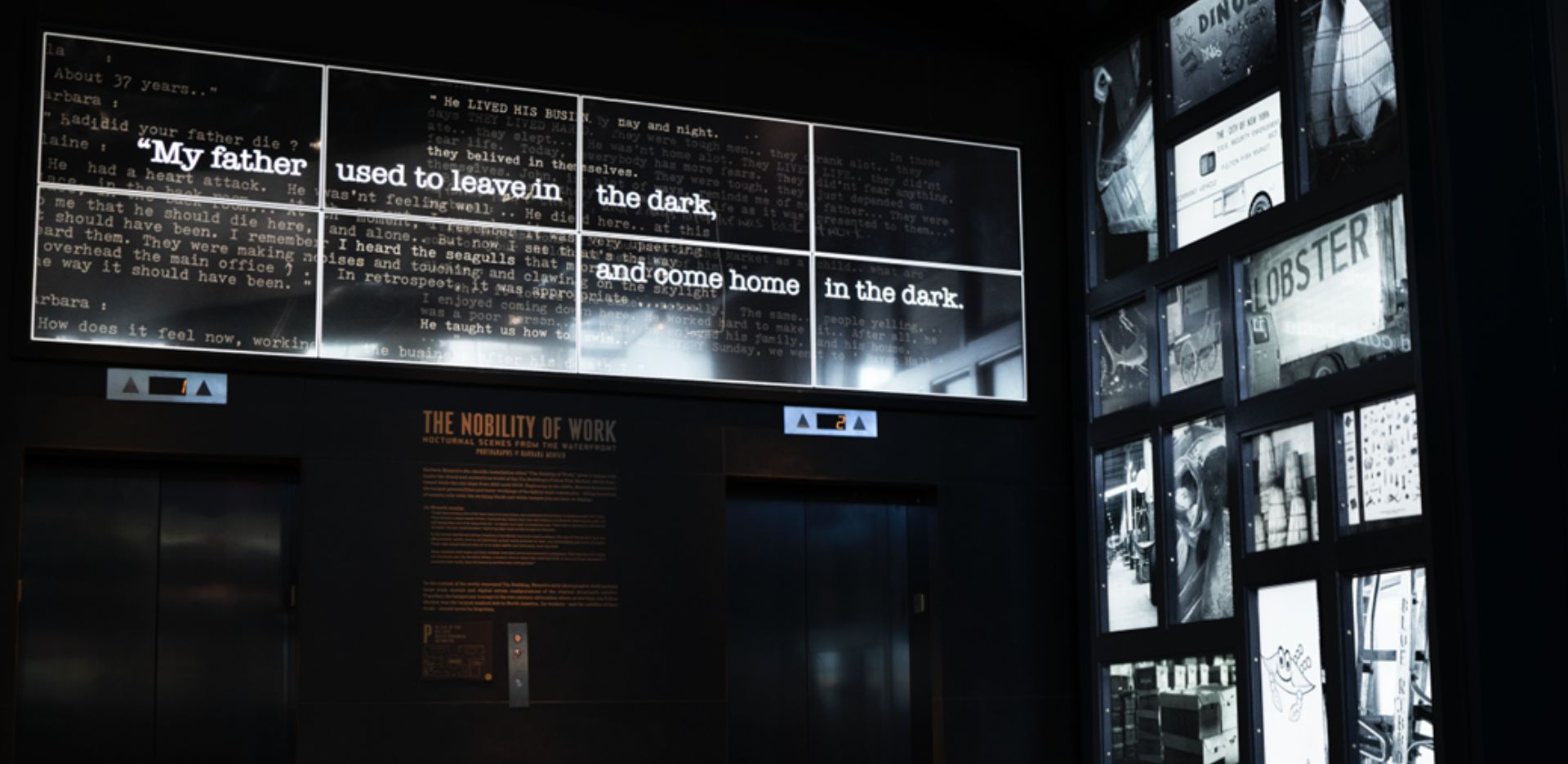 The Videri Effect – Videri.